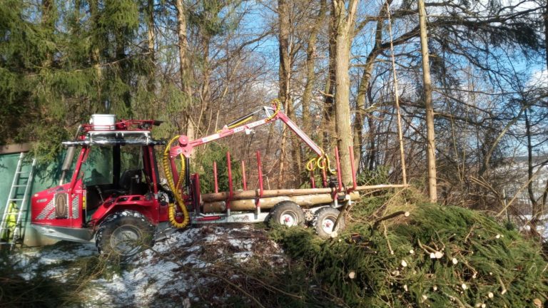 Kranman Bison 6000 Rückezug Rückeanhänger Prozessor Forstkran – SB ...