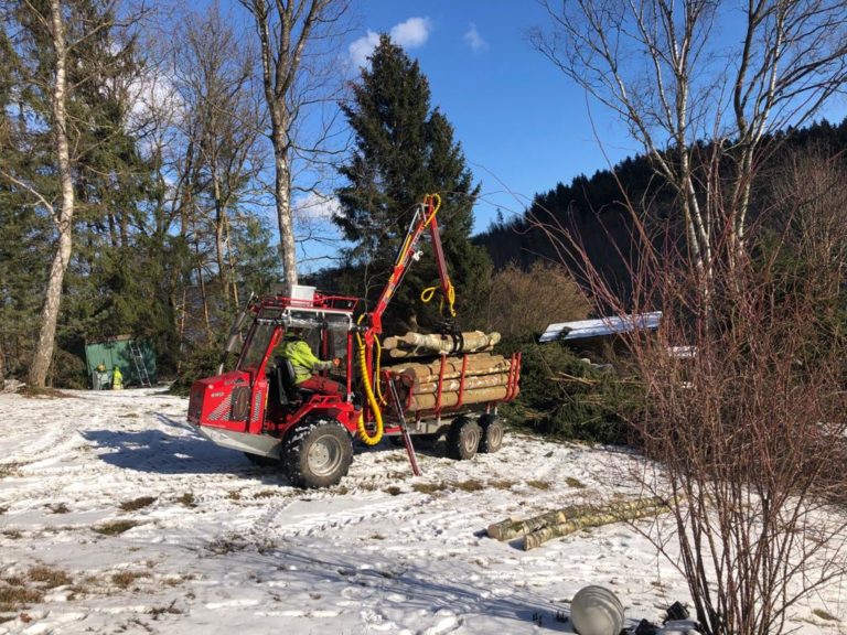 Kranman Bison 6000 Rückezug Rückeanhänger Prozessor Forstkran – SB ...